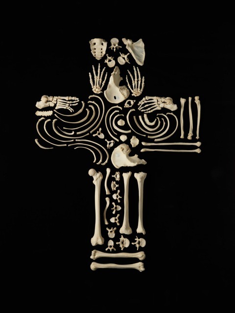 Art Made From Human Bones | Amusing Planet